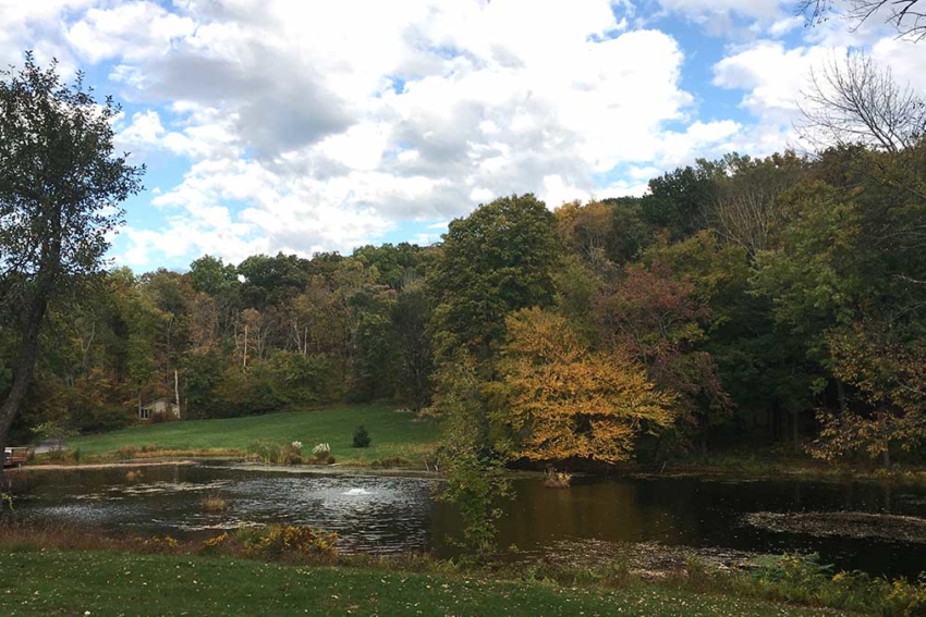 Home - Overlook Foundation